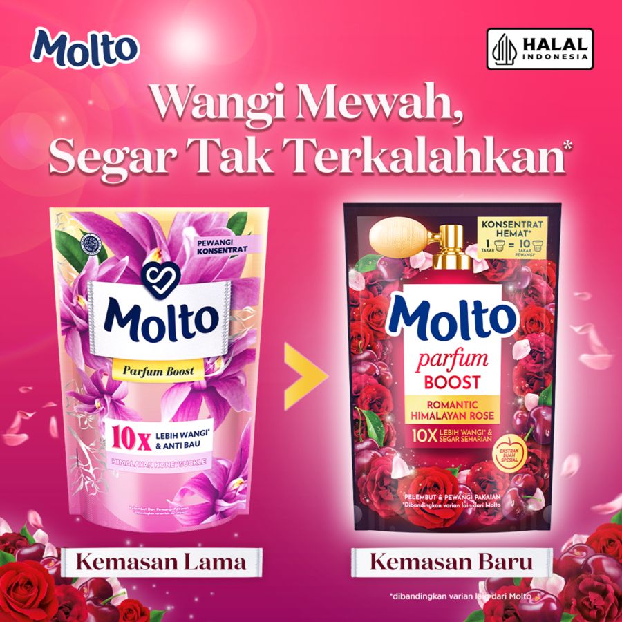 Molto Parfum Boost Himalayan Honeysuckle 650ml | ASTRO