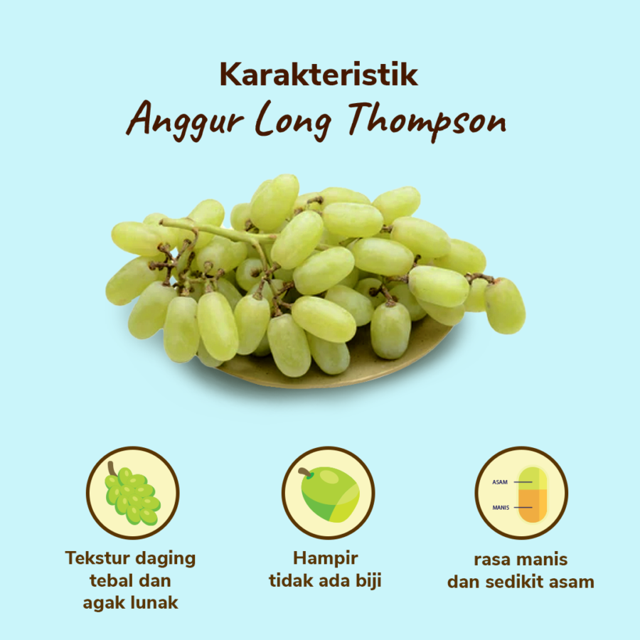 Anggur Long Thompson Less Seed Astro Farm 450-500 gram | ASTRO